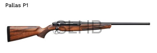 Pallas P1 - .308Win auf ProGun